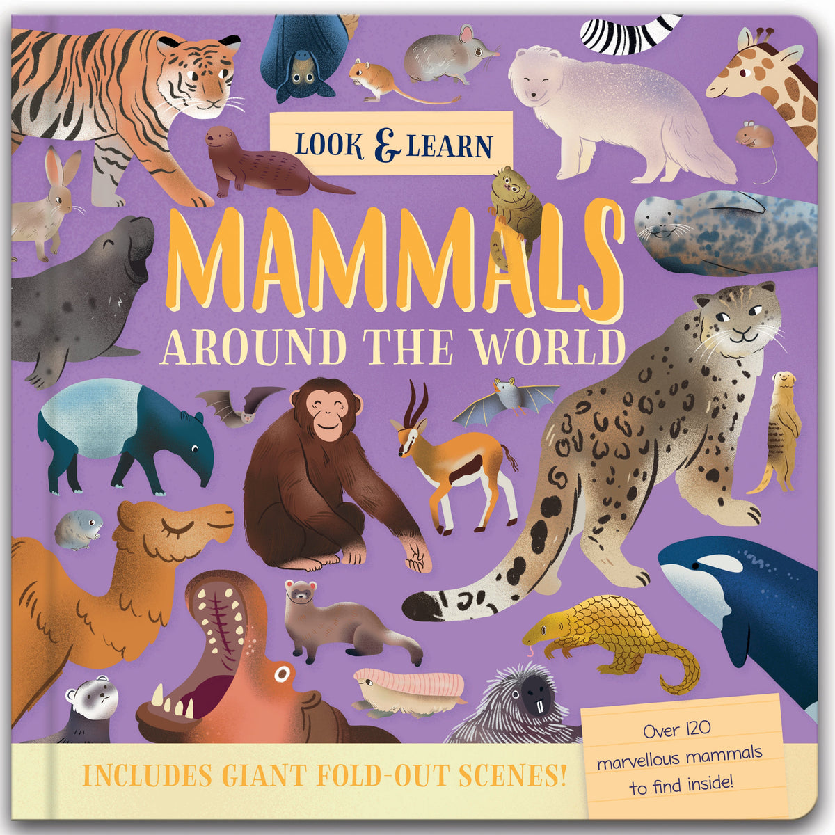 Mammals Around The World - Children’s Look & Learn Book – Robert ...