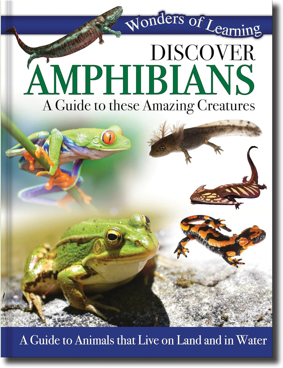 Discover Amphibians - Children's Reference Book – Robert Frederick Trade