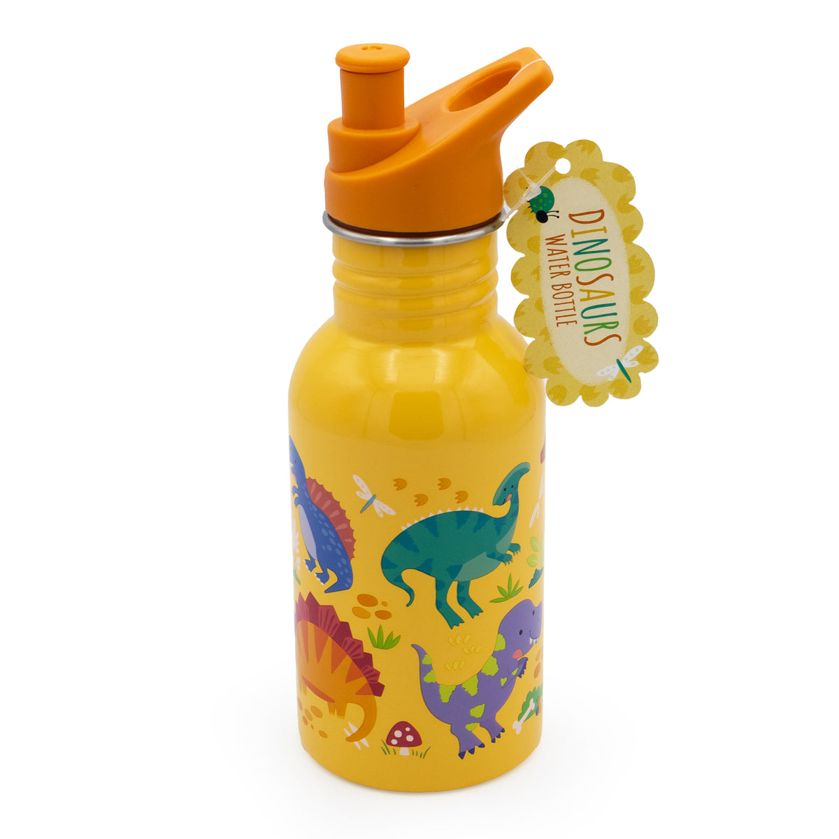 Kids Dinosaur Water Bottle – 500ml Stainless Steel – Robert Frederick Trade