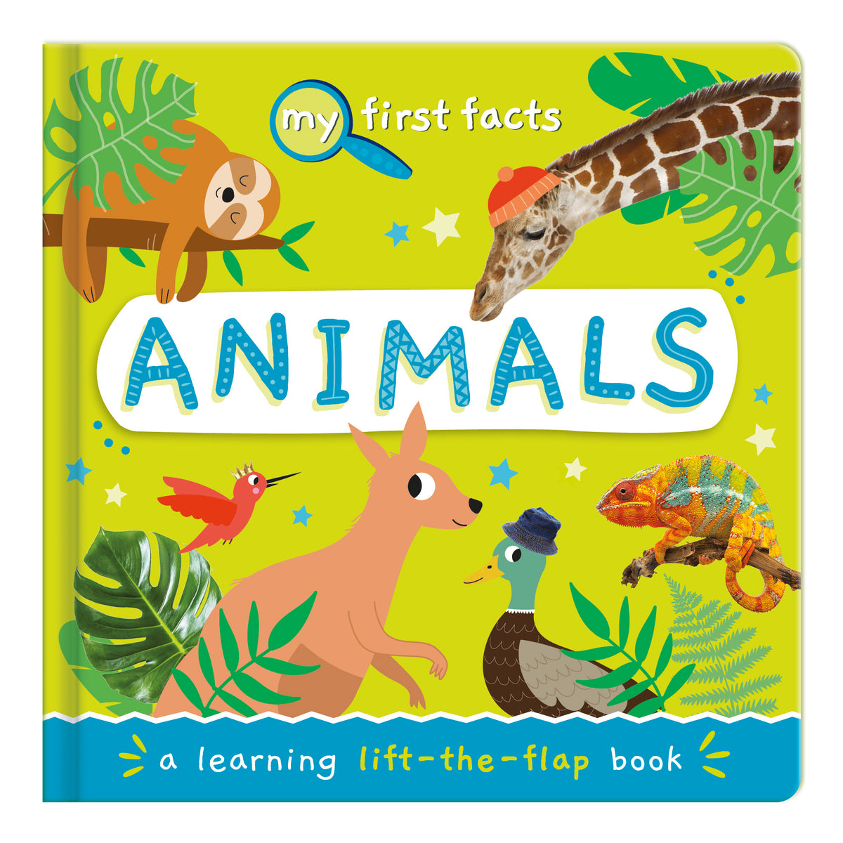 My First Facts Animals – Robert Frederick Trade