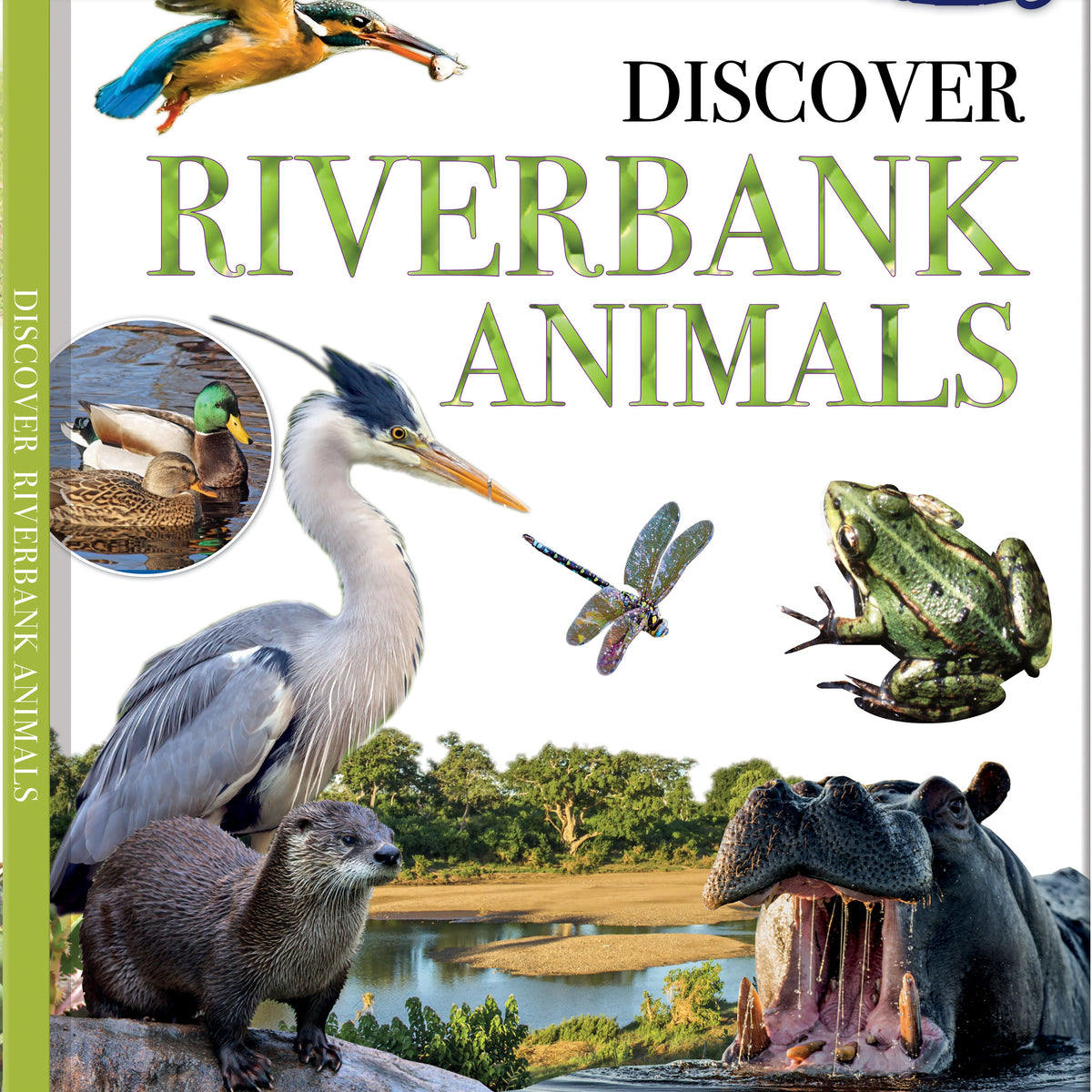Discover Riverbank Animals - Children's Reference Book – Robert ...