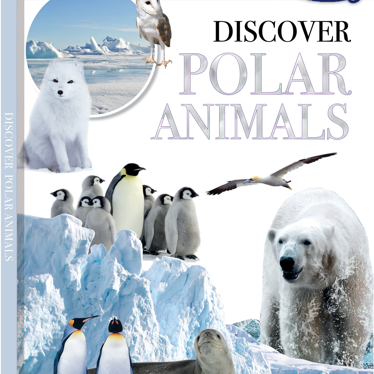 Discover Polar Animals - Children's Reference Book – Robert Frederick Trade