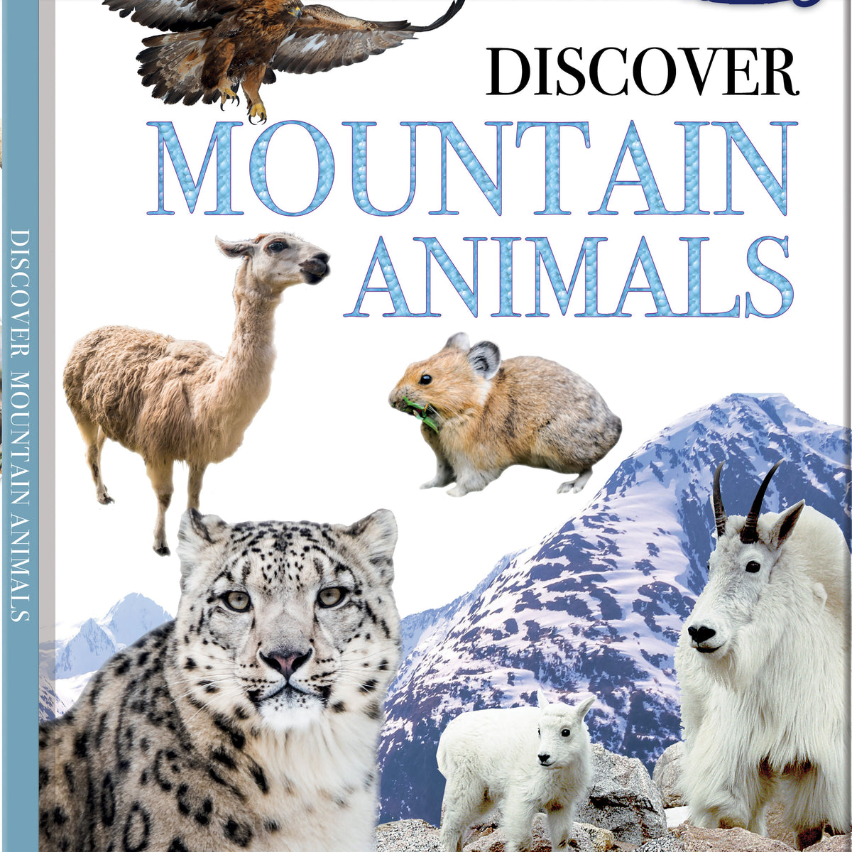 Discover Mountain Animals - Children's Reference Book – Robert ...